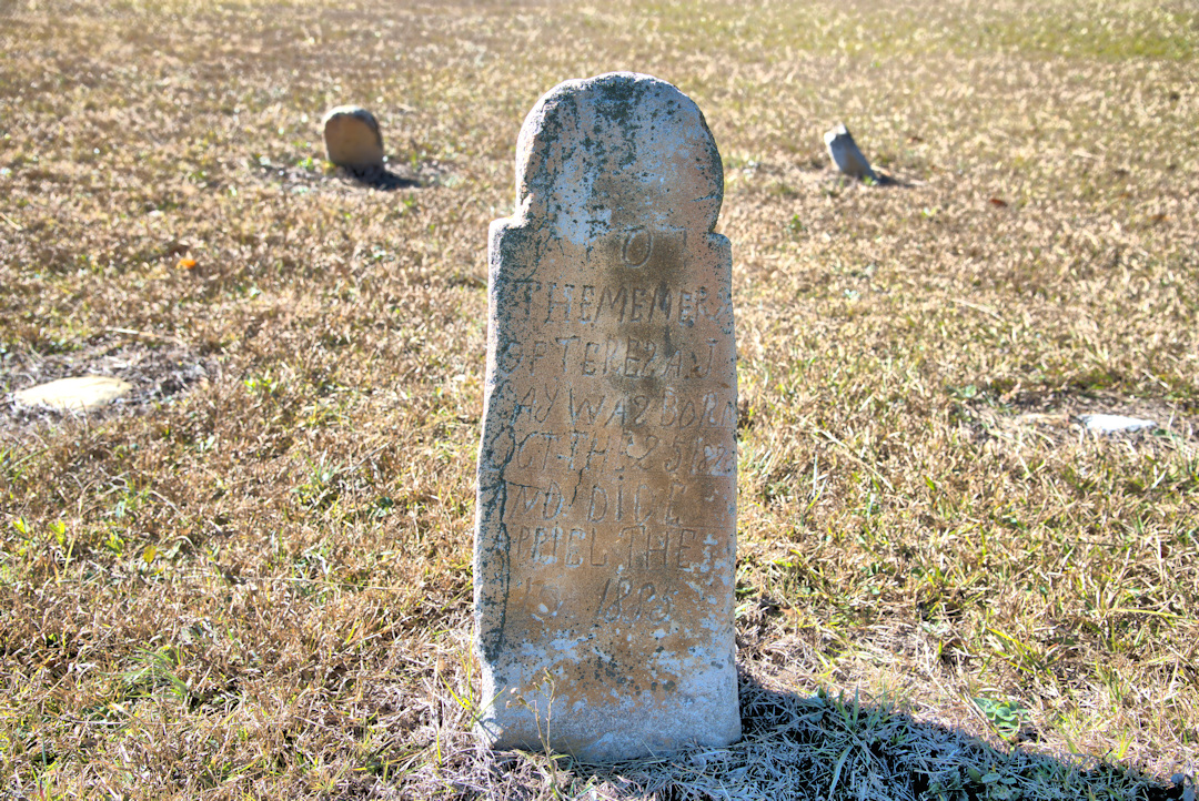 Lowery GA | Vanishing Georgia: Photographs by Brian Brown