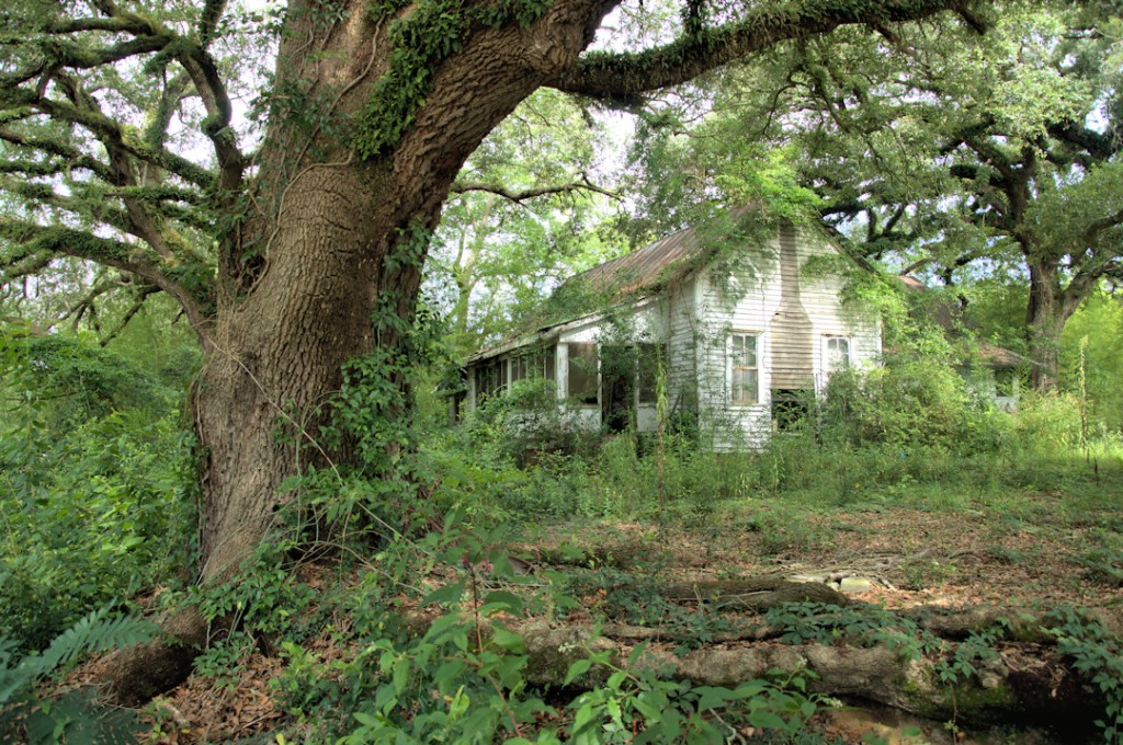 –BAKER COUNTY GA– | Vanishing Georgia: Photographs by Brian Brown | Page 2