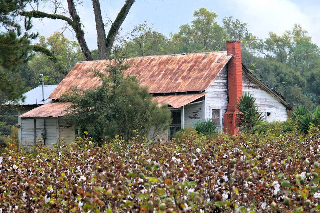 Double-Pen Tenant Farmhouse, Barwick | Vanishing Georgia: Photographs ...