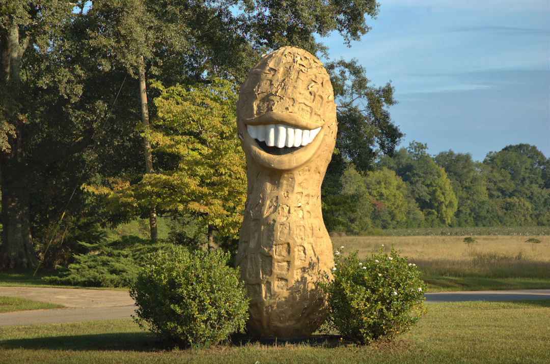 Jimmy Carter Peanut, 1976, Plains | Vanishing Georgia: Photographs by ...