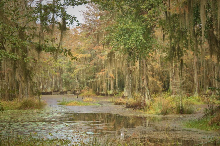 Brewer Pope’s Store, Barwick | Vanishing Georgia: Photographs by Brian ...