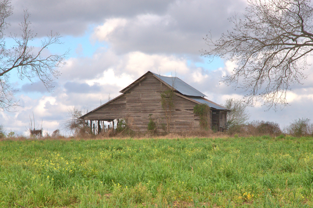 Weaver Road Barn, Berrien County | Vanishing Georgia: Photographs by ...