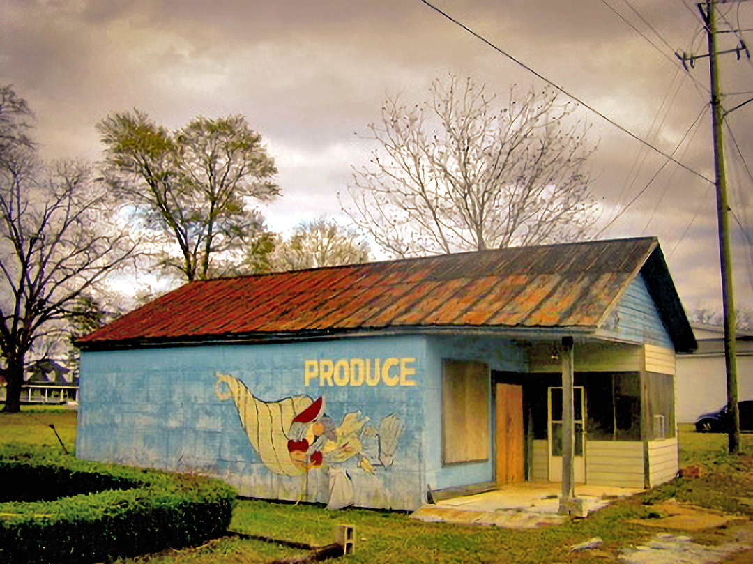 C. A. Ingram Store, Lilly | Vanishing Georgia: Photographs by Brian Brown