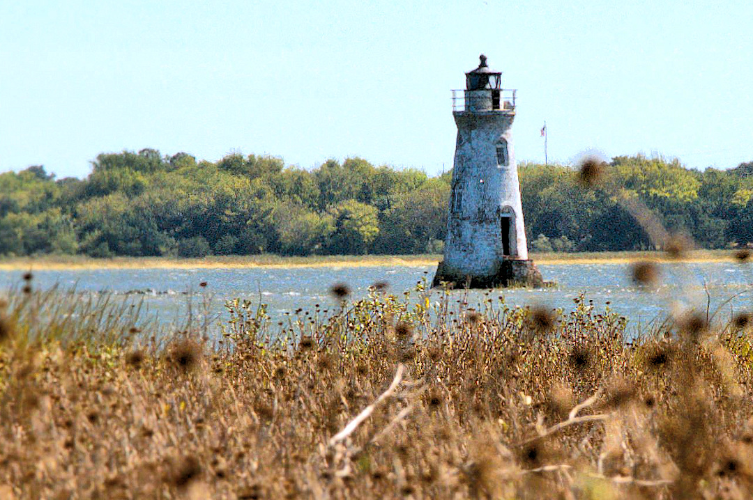 Cockspur Island Lighthouse, 1855 | Vanishing Georgia: Photographs by ...