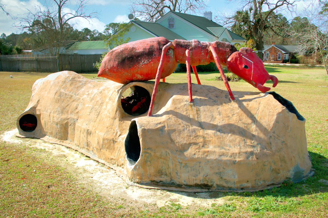 Ashburn Celebrates the Fire Ant | Vanishing Georgia: Photographs by ...