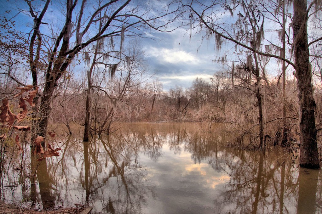 Montgomery Lake & The World Record Largemouth Bass, Telfair County ...