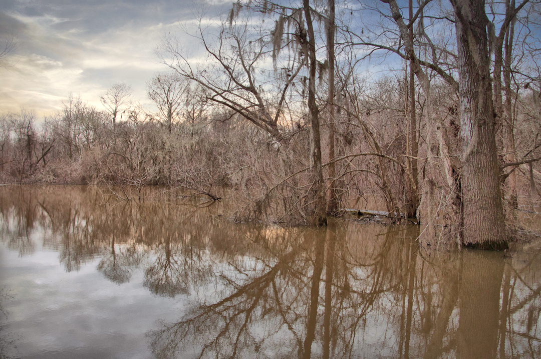 Montgomery Lake & The World Record Largemouth Bass, Telfair County ...