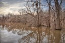 Montgomery Lake & The World Record Largemouth Bass, Telfair County ...