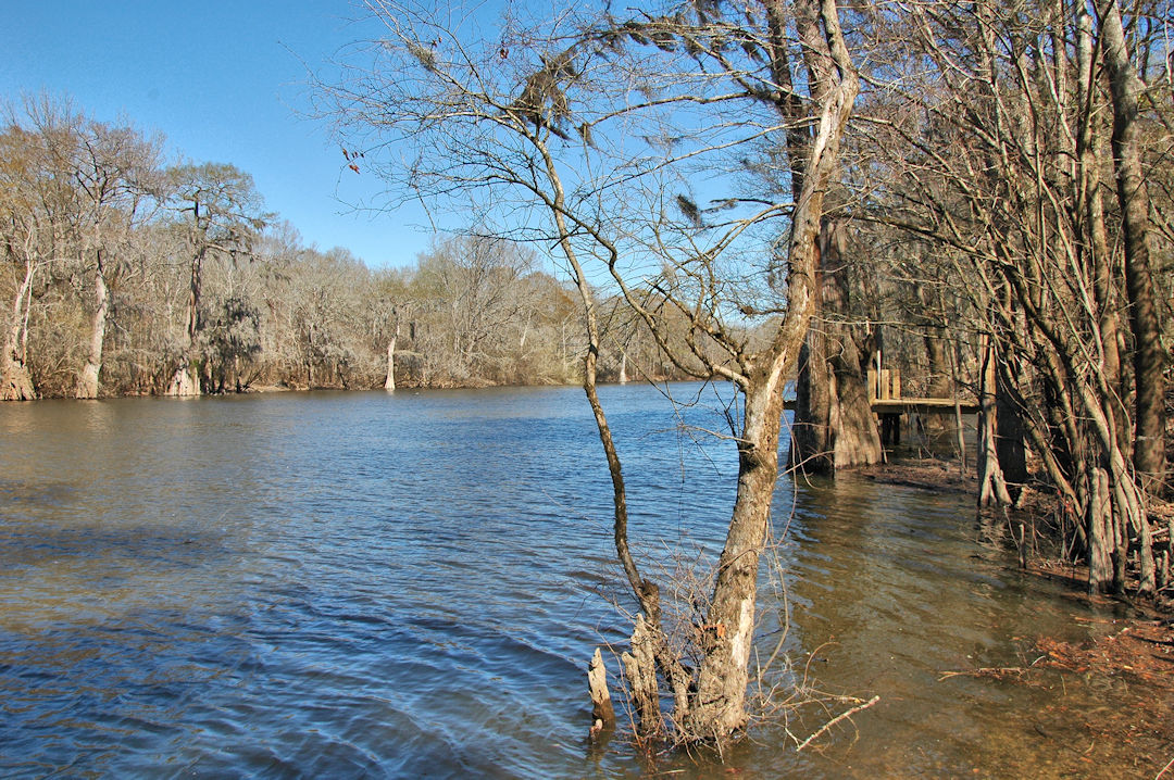 Half Moon Lake, Appling County | Vanishing Georgia: Photographs by ...