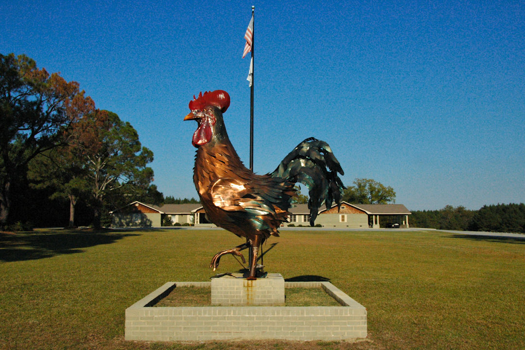 Chicken Sculpture, Stillmore | Vanishing Georgia: Photographs by Brian ...
