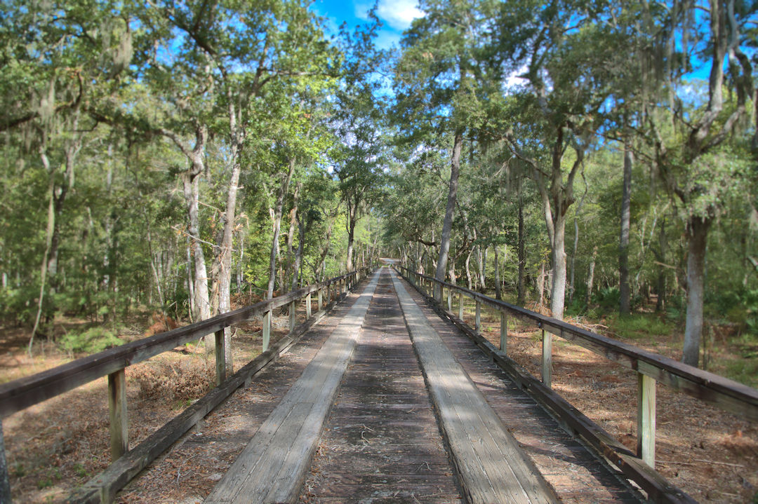 Griffin Ridge Wildlife Management Area, Long County | Vanishing Georgia ...