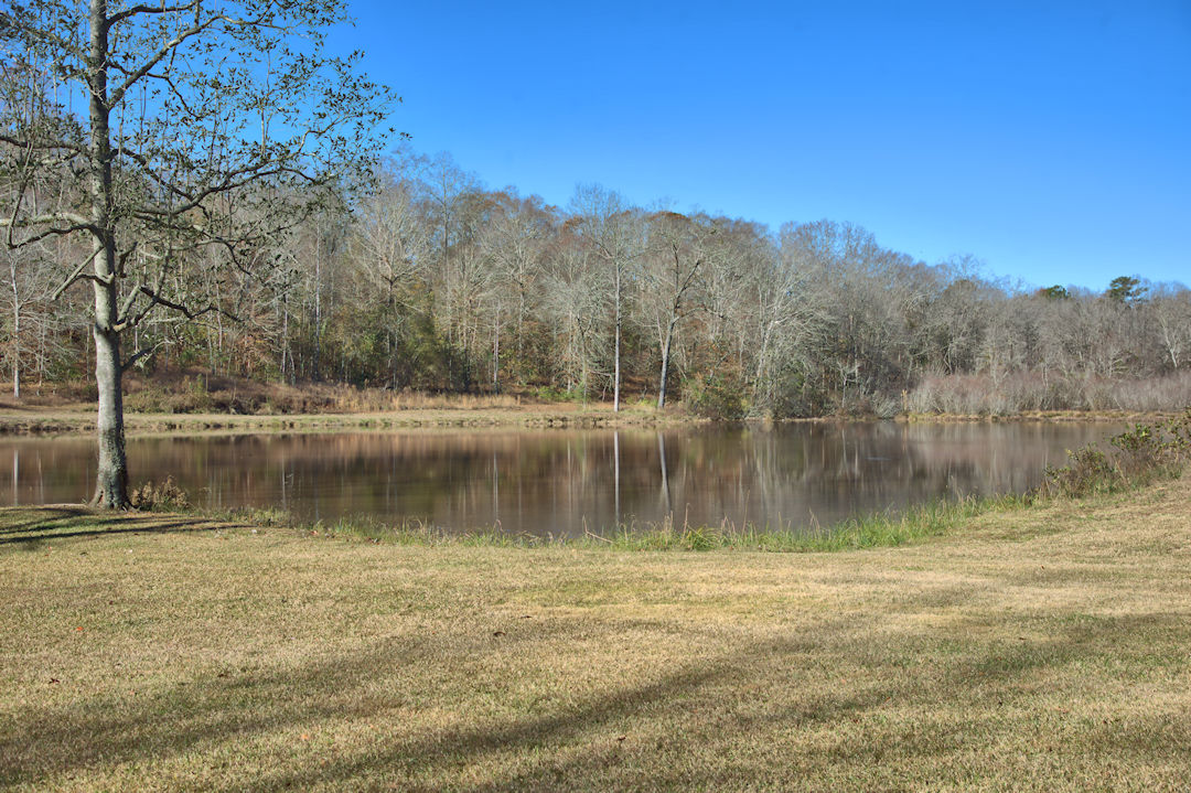 –SCHLEY COUNTY GA– | Vanishing Georgia: Photographs by Brian Brown