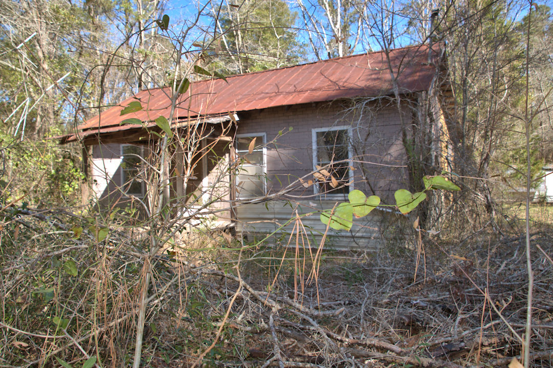 Hall and Parlor Cottage, Washington County | Vanishing Georgia ...