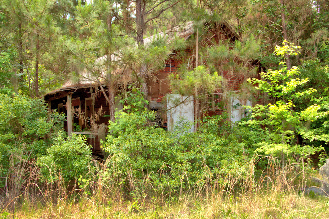 Okefenokee Swamp Homestead, Ware County | Vanishing Georgia ...