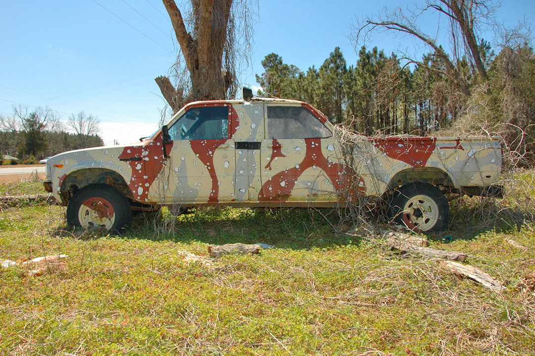 Custom Cab Truck, Brantley County | Vanishing Georgia: Photographs by ...