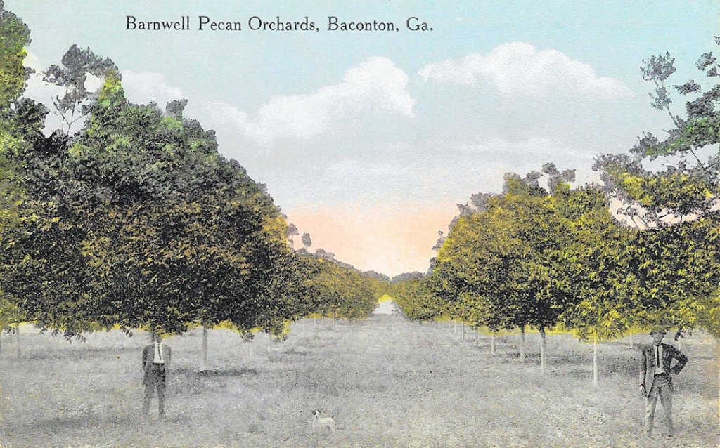 –MITCHELL COUNTY GA– | Vanishing Georgia: Photographs by Brian Brown