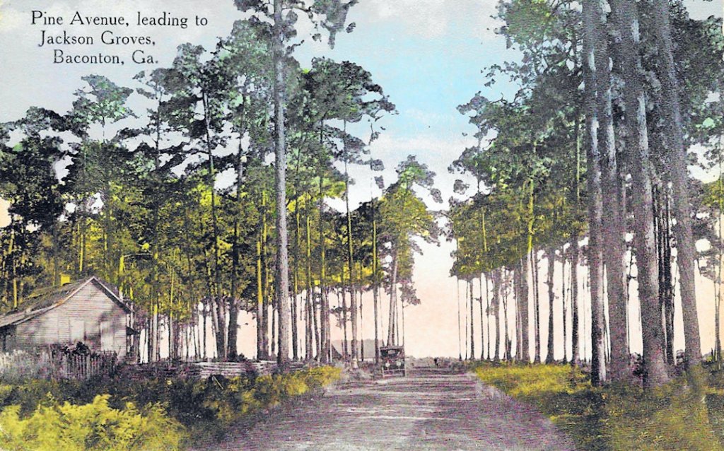 –MITCHELL COUNTY GA– | Vanishing Georgia: Photographs by Brian Brown