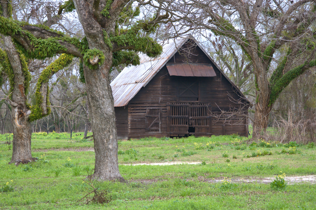 Stock Barn, Baconton | Vanishing Georgia: Photographs by Brian Brown