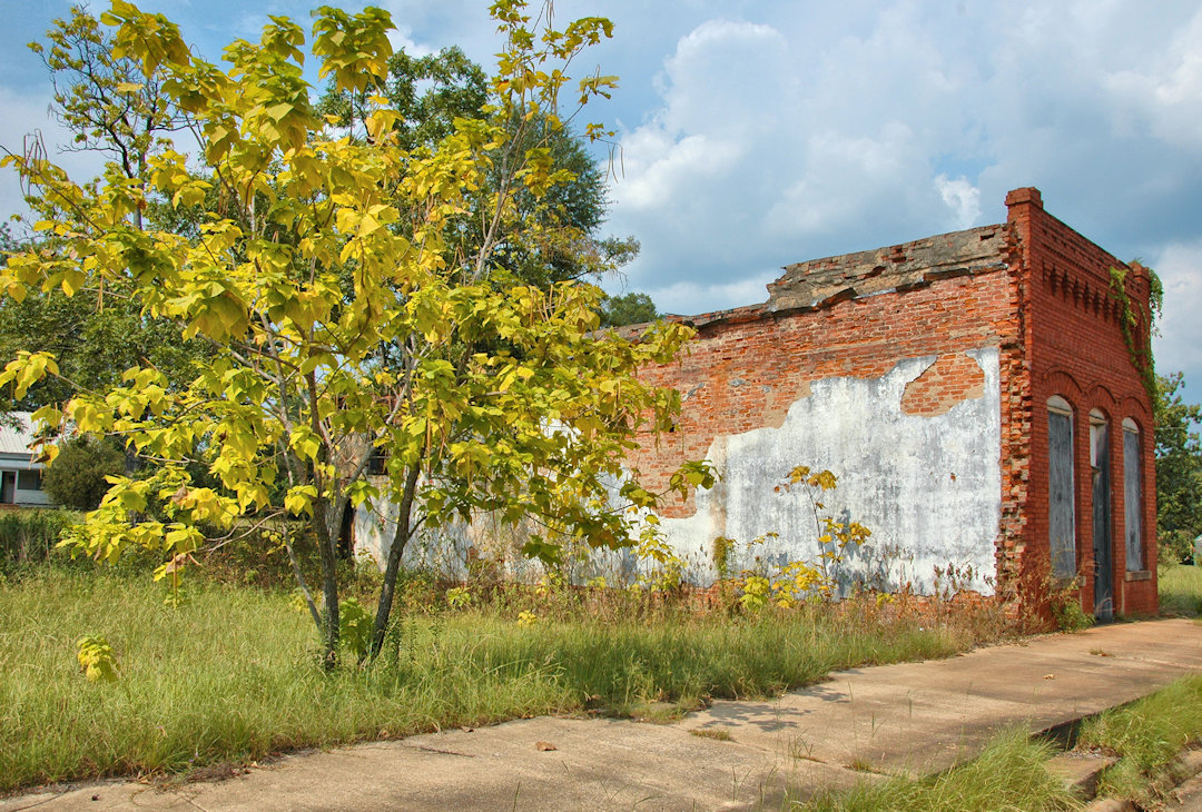 Coleman GA | Vanishing Georgia: Photographs by Brian Brown