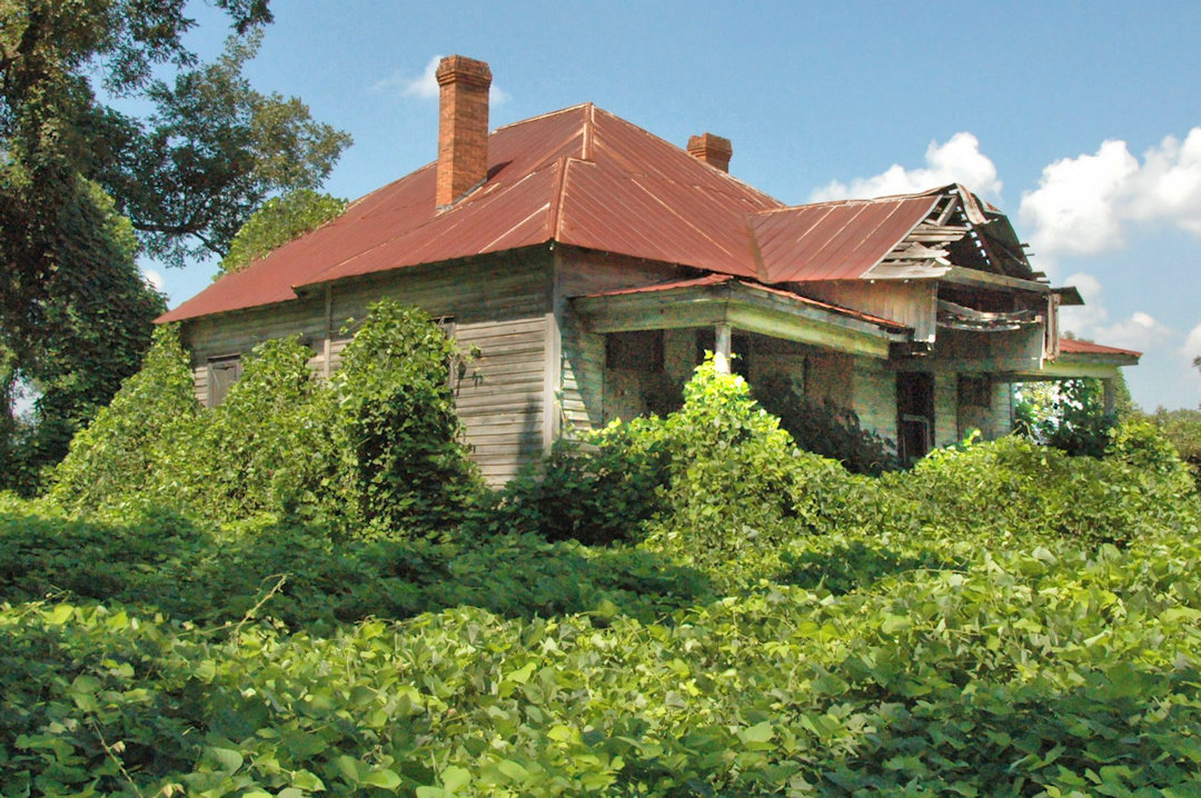 Sam Collier House, Mitchell County | Vanishing Georgia: Photographs by ...