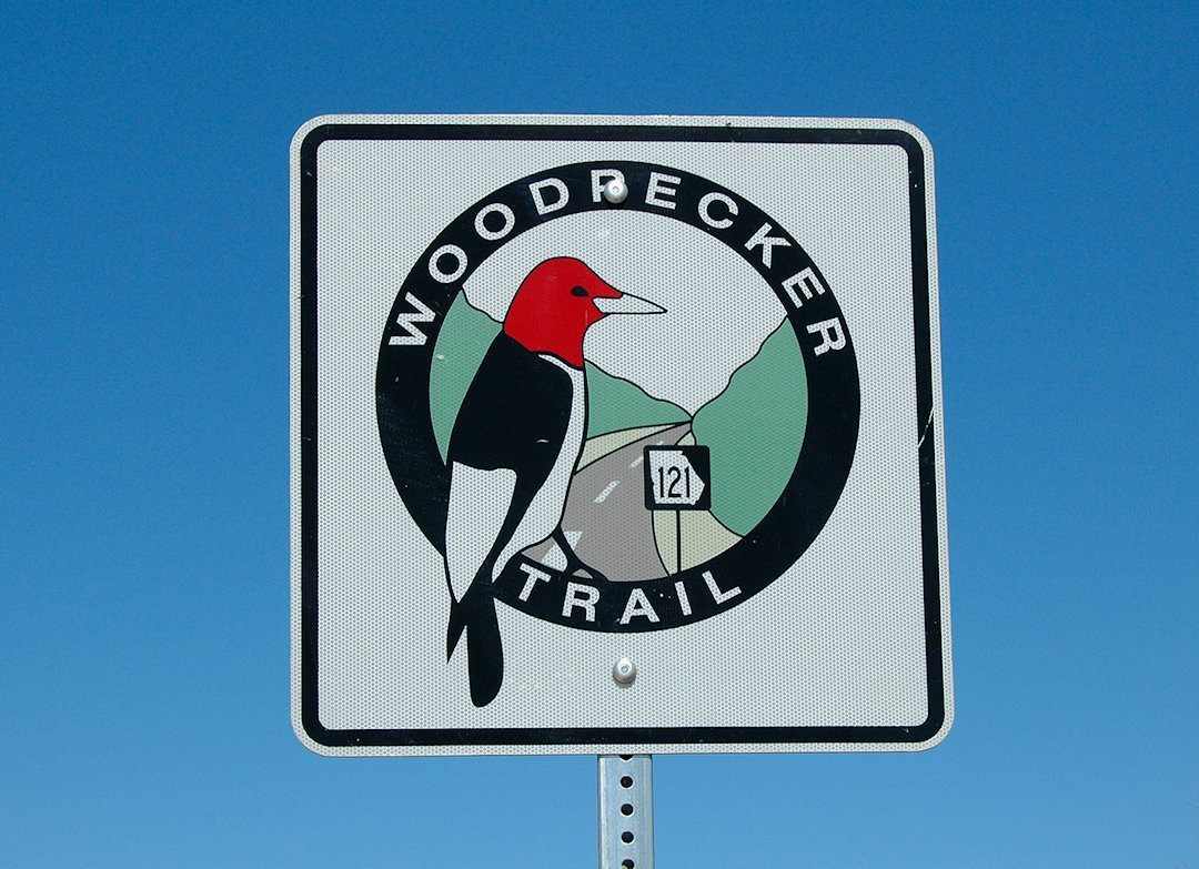 Woodpecker Trail, Bristol | Vanishing Georgia: Photographs by Brian Brown