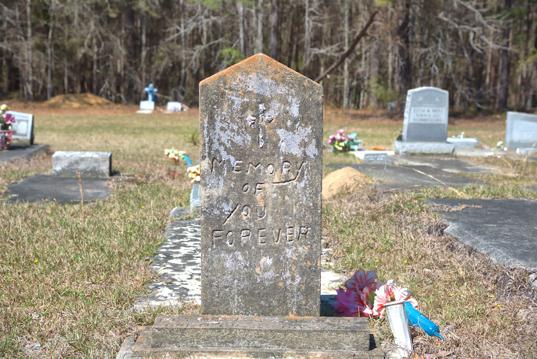 Jones Chapel Cemetery, Washington County | Vanishing Georgia ...