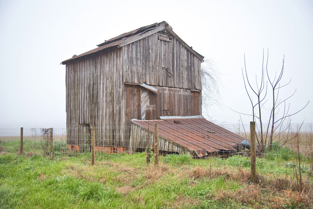 Irwinville Farms Tobacco Barn, 1930s | Vanishing Georgia: Photographs ...