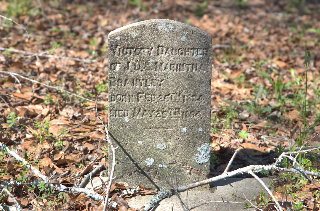 Joseph D. Brantley Family Cemetery, Washington County | Vanishing ...