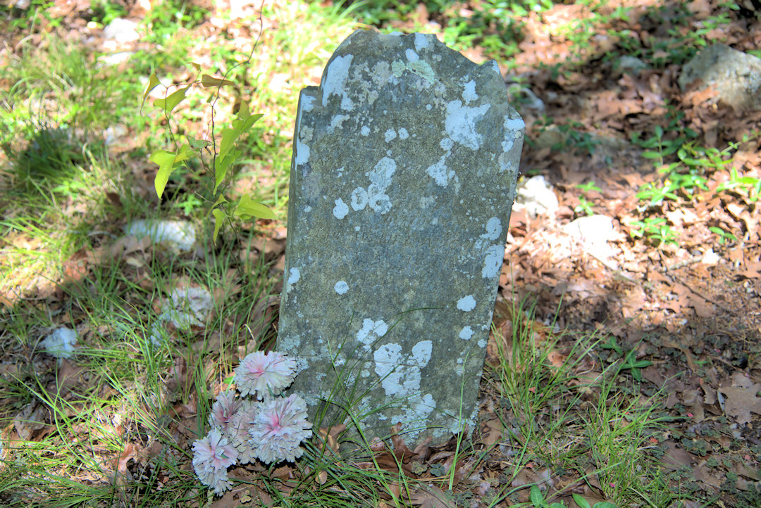 Dan Tucker’s Grave, Elbert County | Vanishing Georgia: Photographs by ...