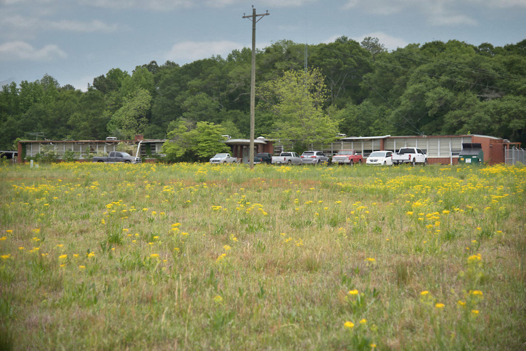 Vanishing Georgia: Photographs by Brian Brown | Since 2008. A visual ...