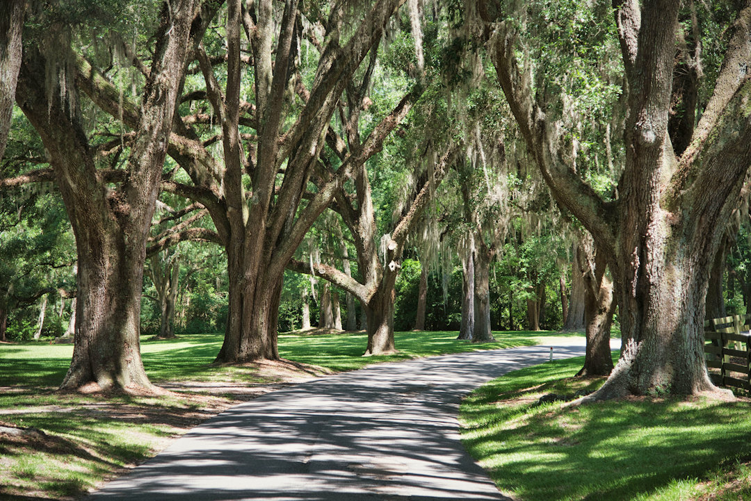 Pebble Hill Plantation, Circa 1825, Thomas County | Vanishing Georgia ...