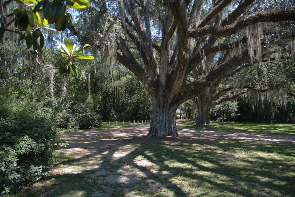 Georgia Plantations | Vanishing Georgia: Photographs by Brian Brown