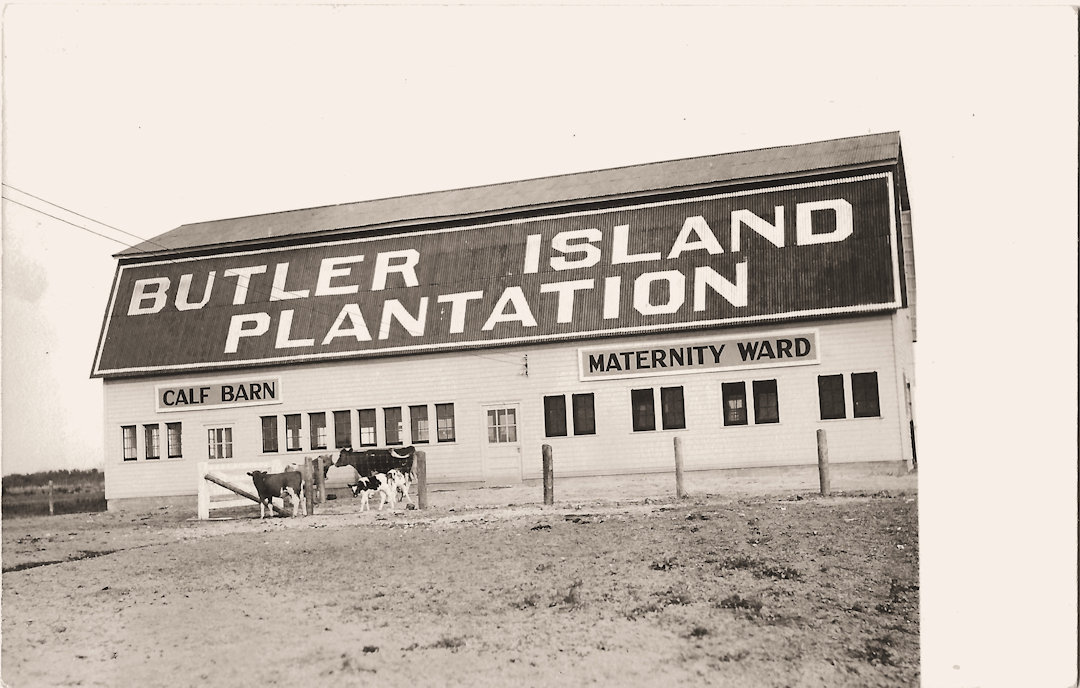 Vanishing Georgia: Photographs by Brian Brown | Since 2008. A visual ...