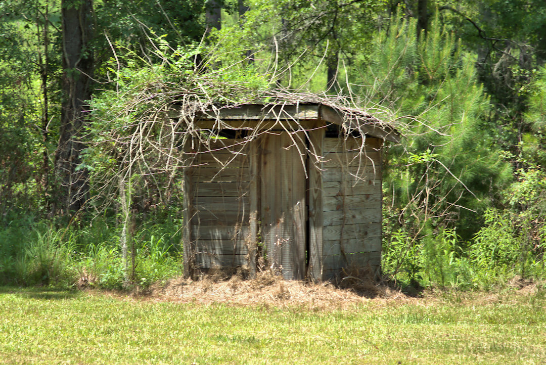 Piscola GA | Vanishing Georgia: Photographs by Brian Brown
