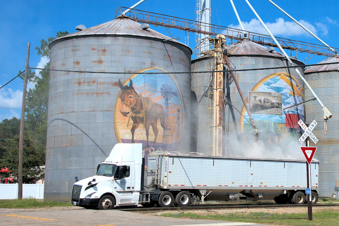 Chris Johnson’s Painted Silos Bring Color to Downtown Shellman ...
