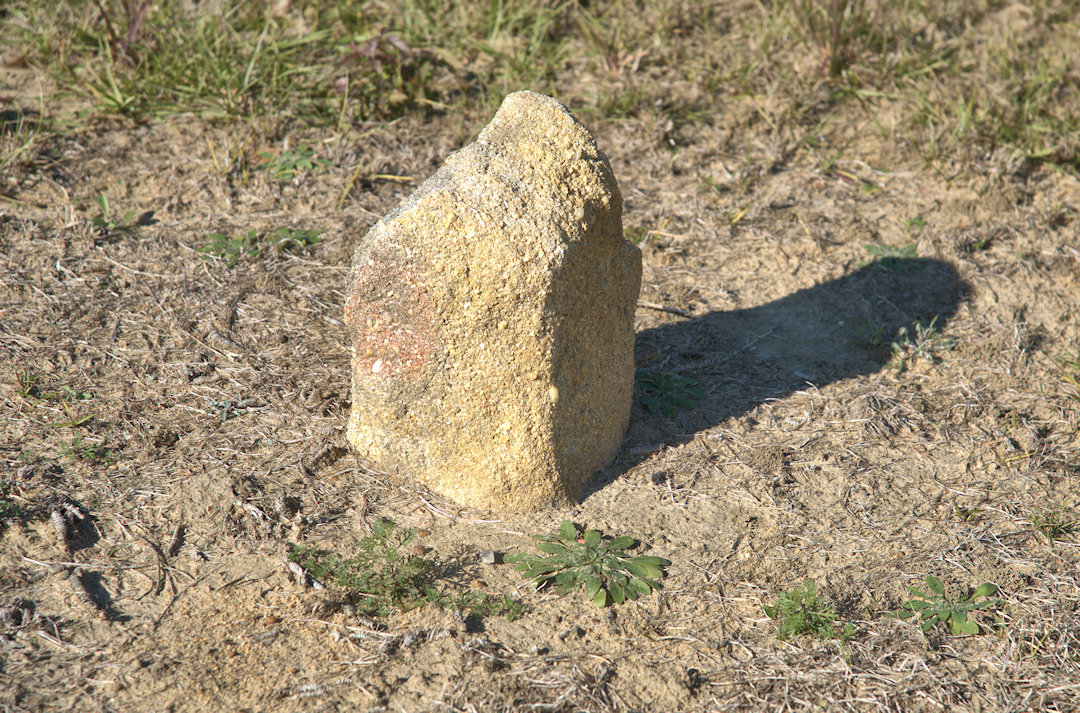 Vanishing Georgia: Photographs by Brian Brown | Since 2008. A visual ...