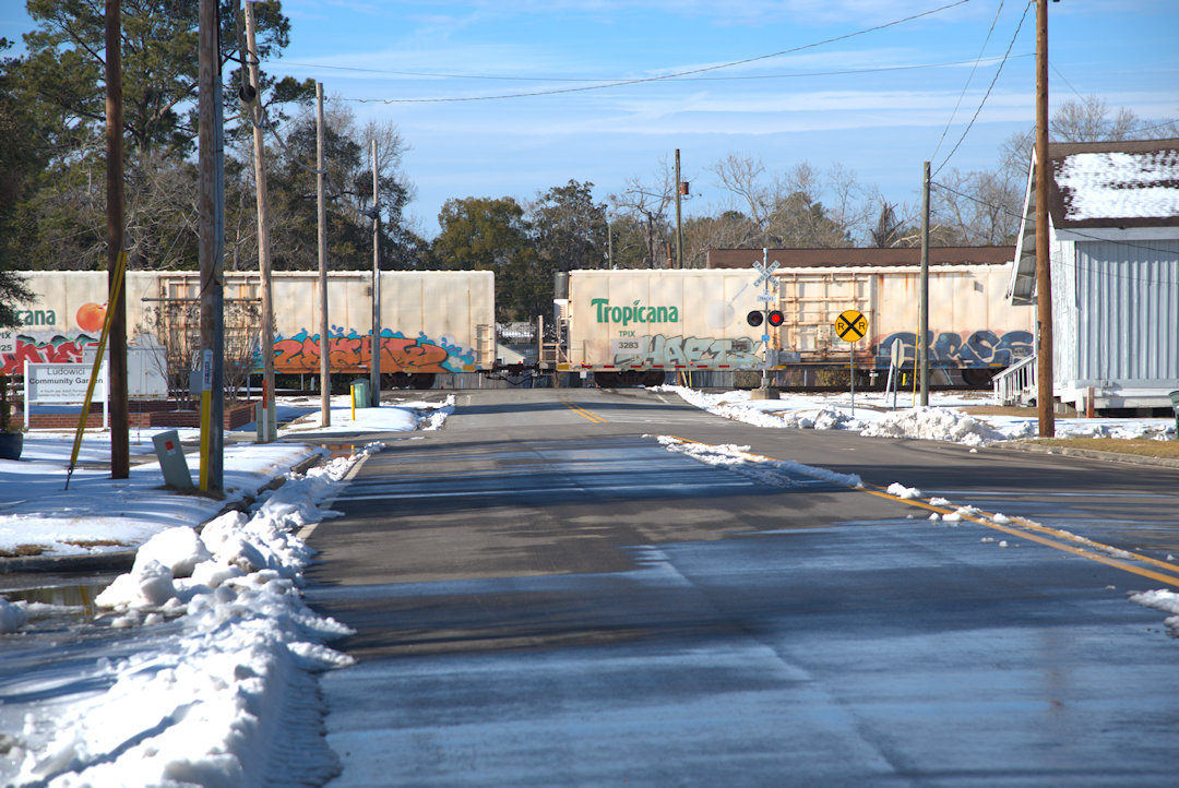 Winter Storm Enzo 2025: Long County | Vanishing Georgia: Photographs by ...