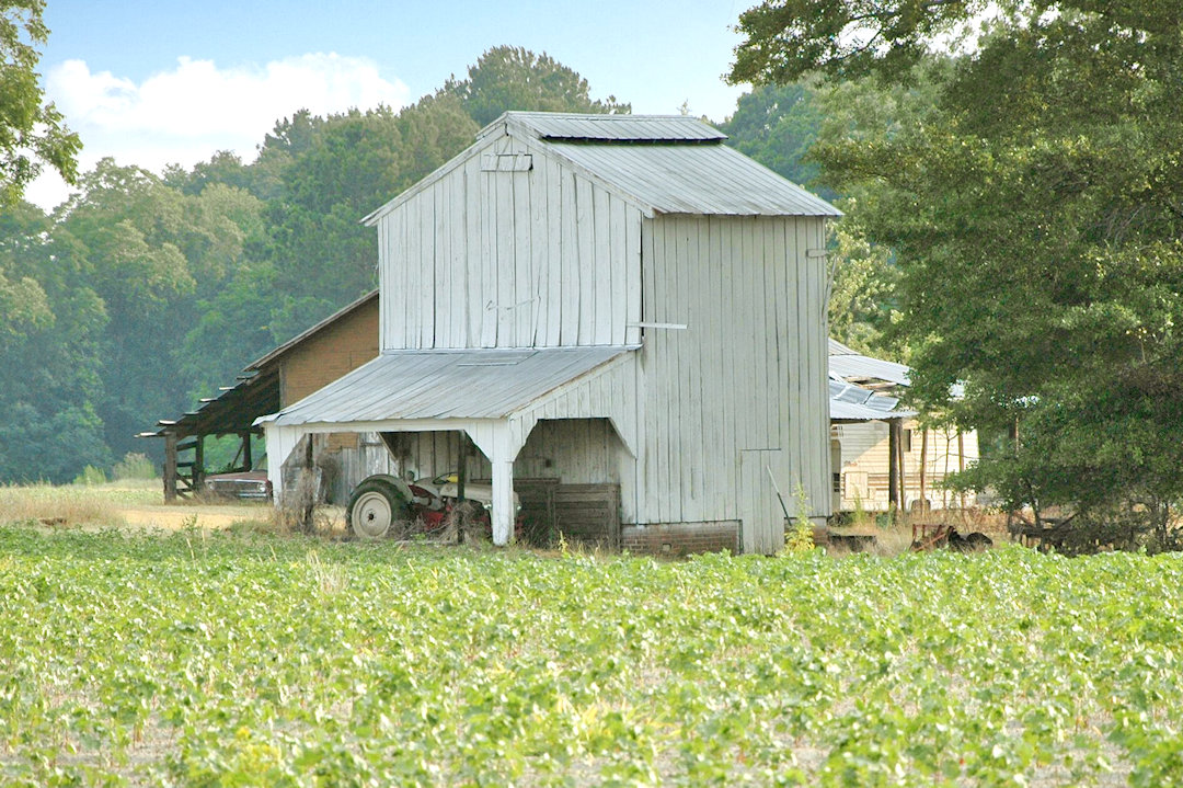 Irwinville Farms Tobacco Barn, 1930s | Vanishing Georgia: Photographs ...