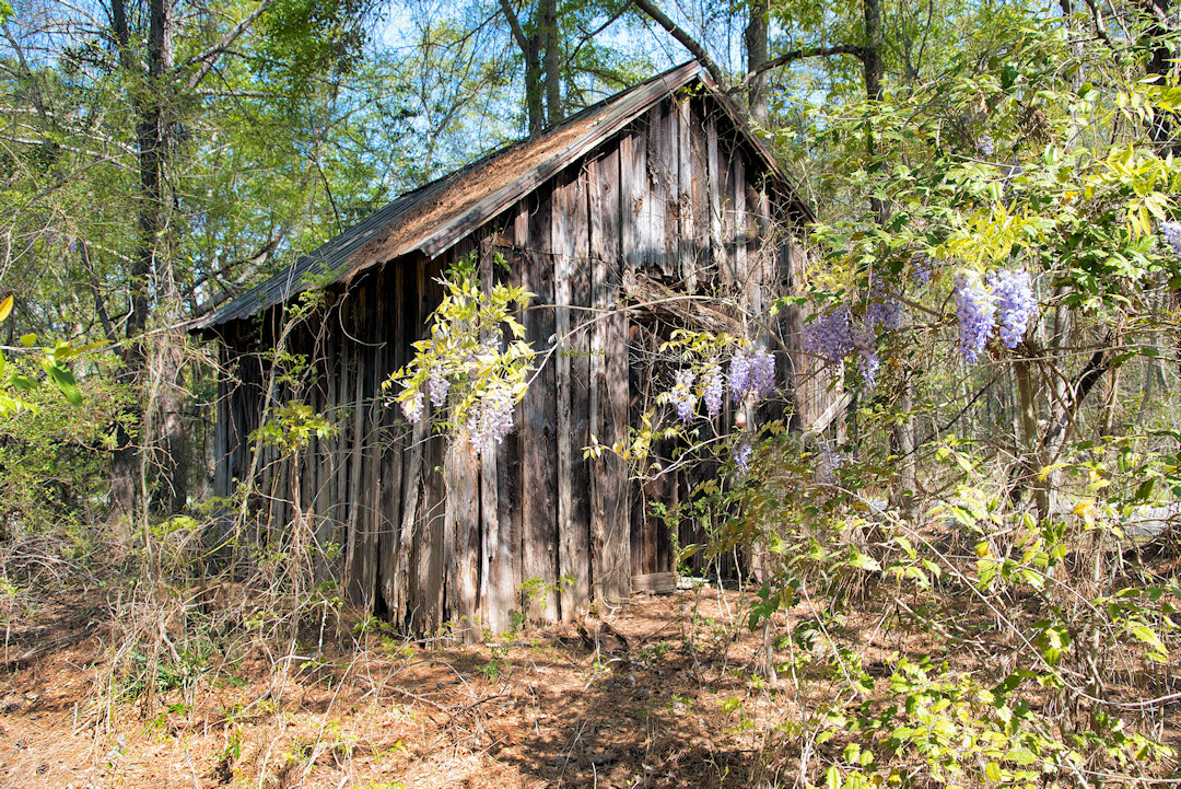 Board-and-Batten Shed, Culverton | Vanishing Georgia: Photographs by ...