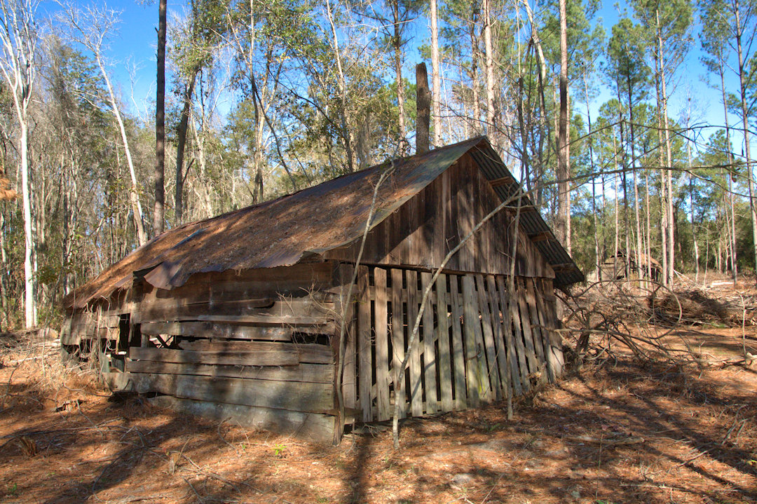 Parker Turpentine Camp, 1920s, Wefanie | Vanishing Georgia: Photographs ...