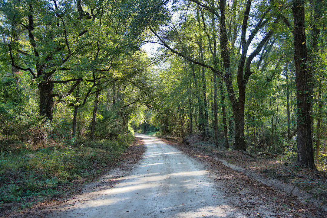 Exploring Upper Morris Road: A Journey Through Nature